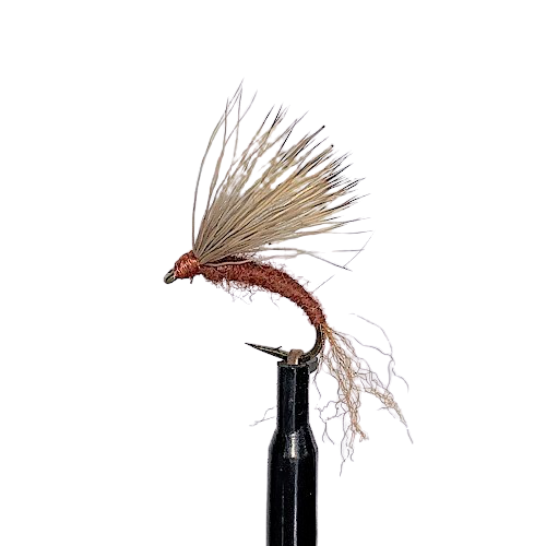 ISONYCHIA EMERGER